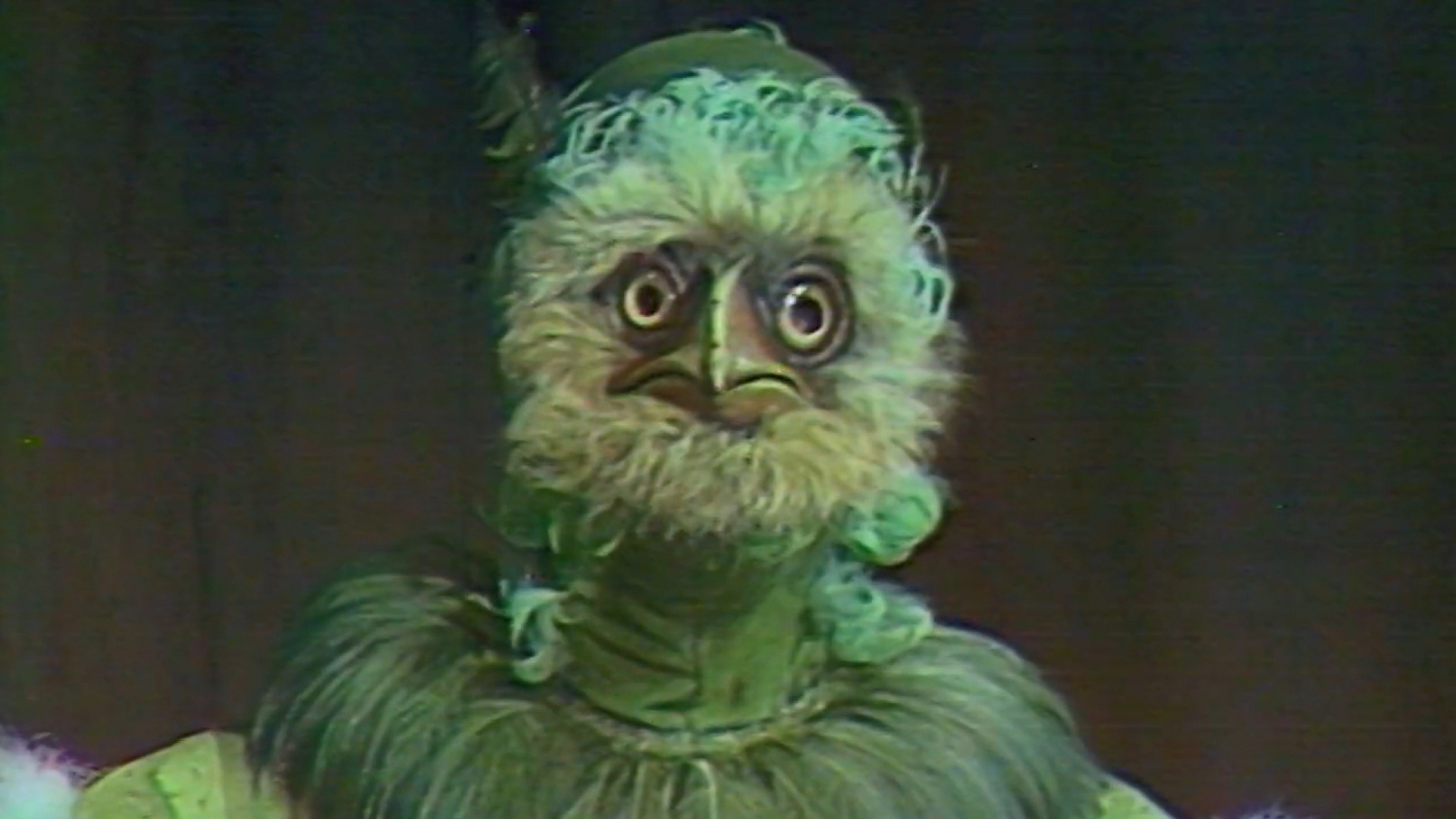 L'Oiseau vert | madelen